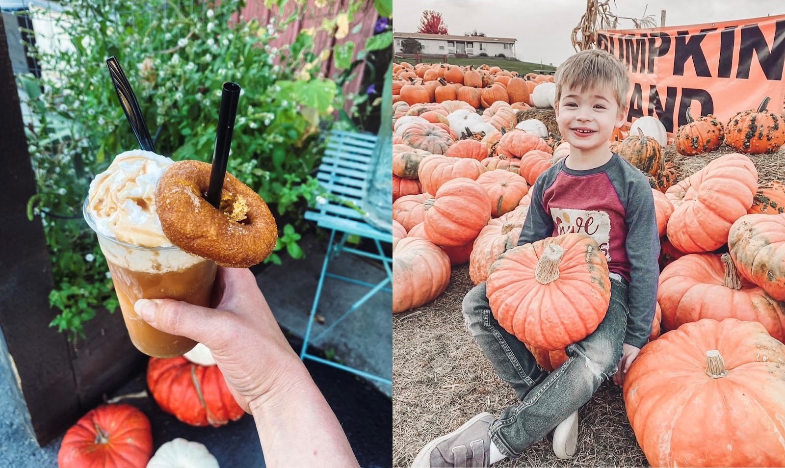 Out of Towners Guide to Visiting Silverwood - Silverwood Express