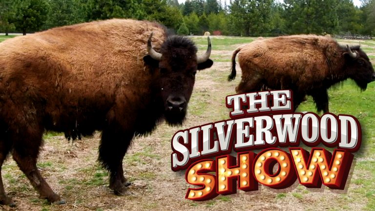 Silverwood Express - The Totally Official Silverwood Blog