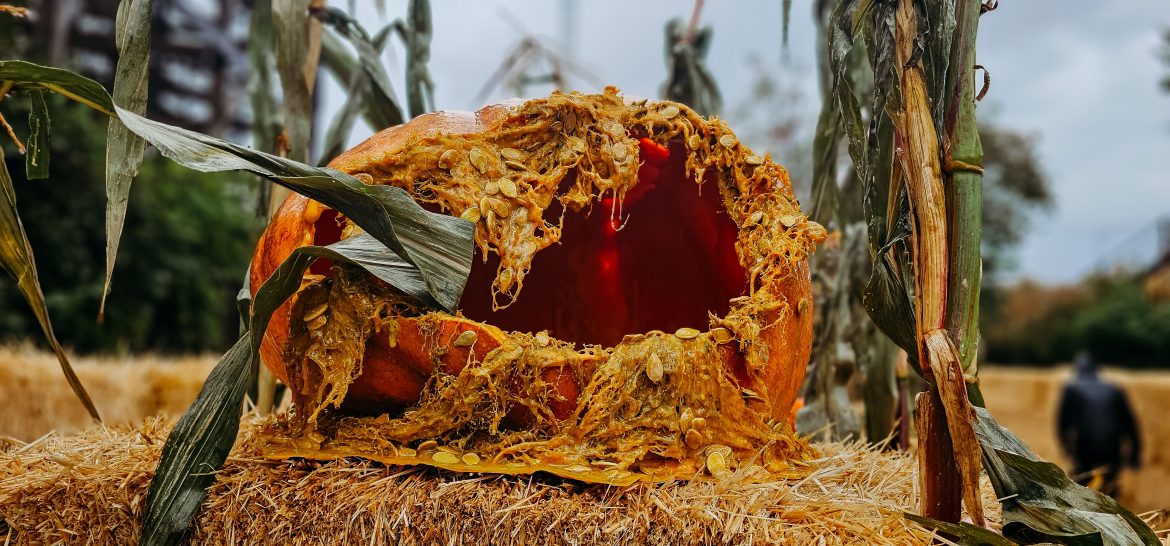 Behind-The-Scenes: Watch Scarywood Come Alive! - Silverwood Express